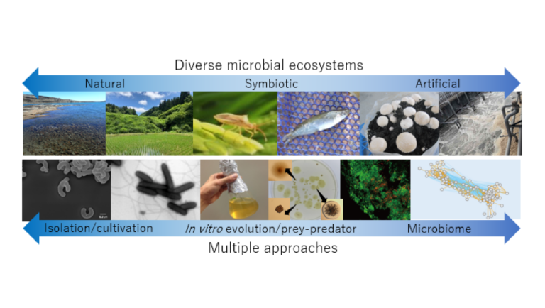 Upgrading the industrial ecosystem by comprehensive understanding of ...