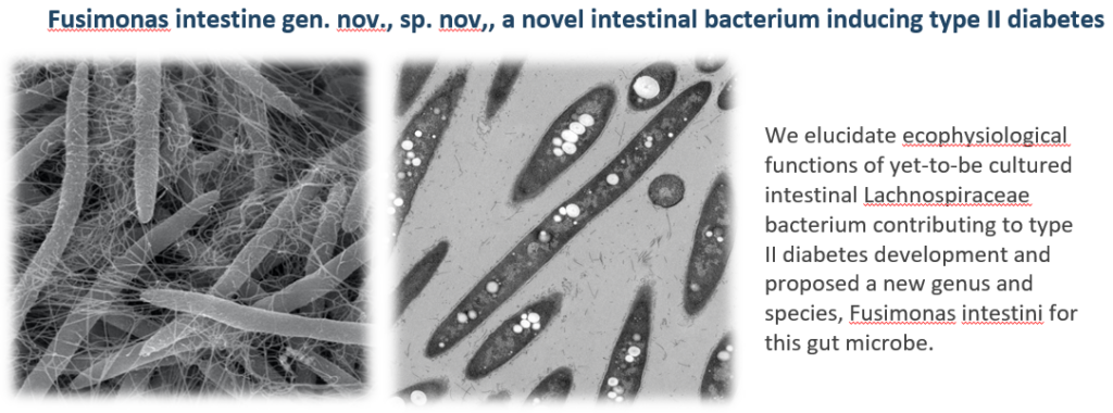 Culturing the uncultured fastidious microorganisms in the environment ...