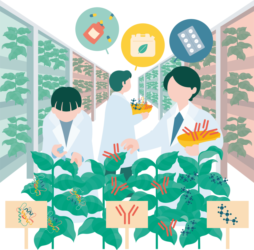 Bioproduction Research Institute, the National Institute of Advanced ...