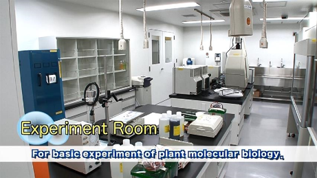Bioproduction in plant factory – Bioproduction Research Institute, the ...