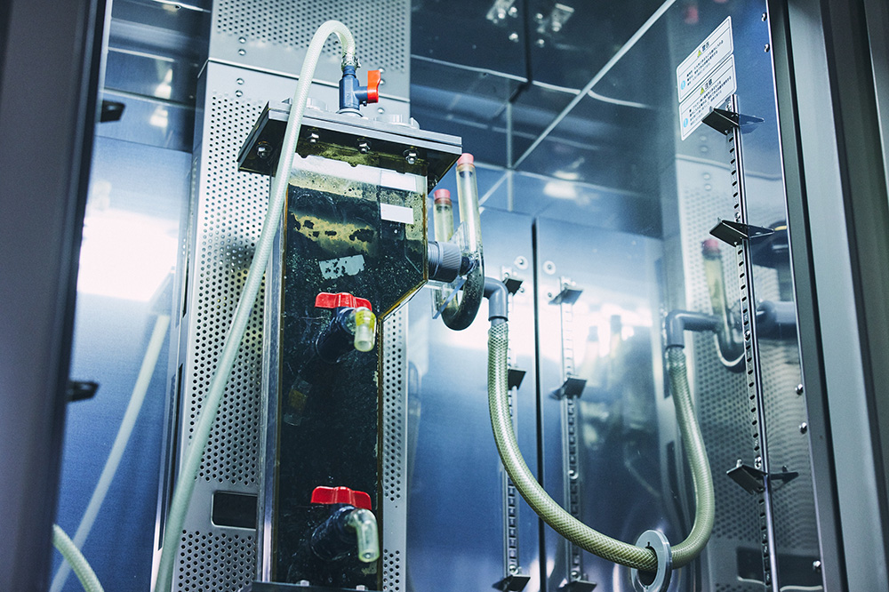 Bioproduction Research Institute, the National Institute of Advanced ...